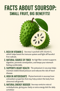 🌱 Facts About Soursop: A Small Fruit with Big Benefits! - Always ...